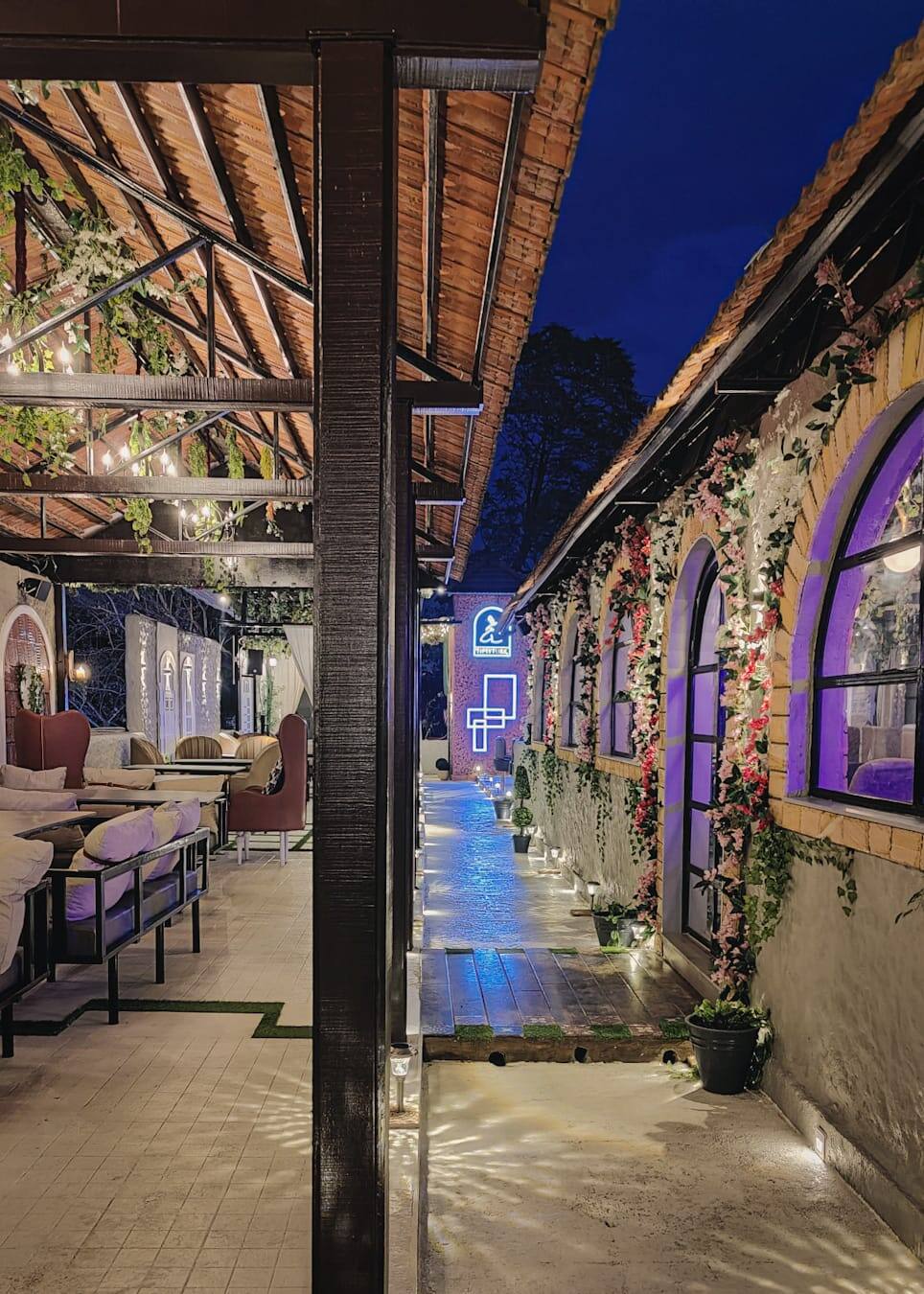 Tipsy Turk, Mohan Nagar order online - Zomato