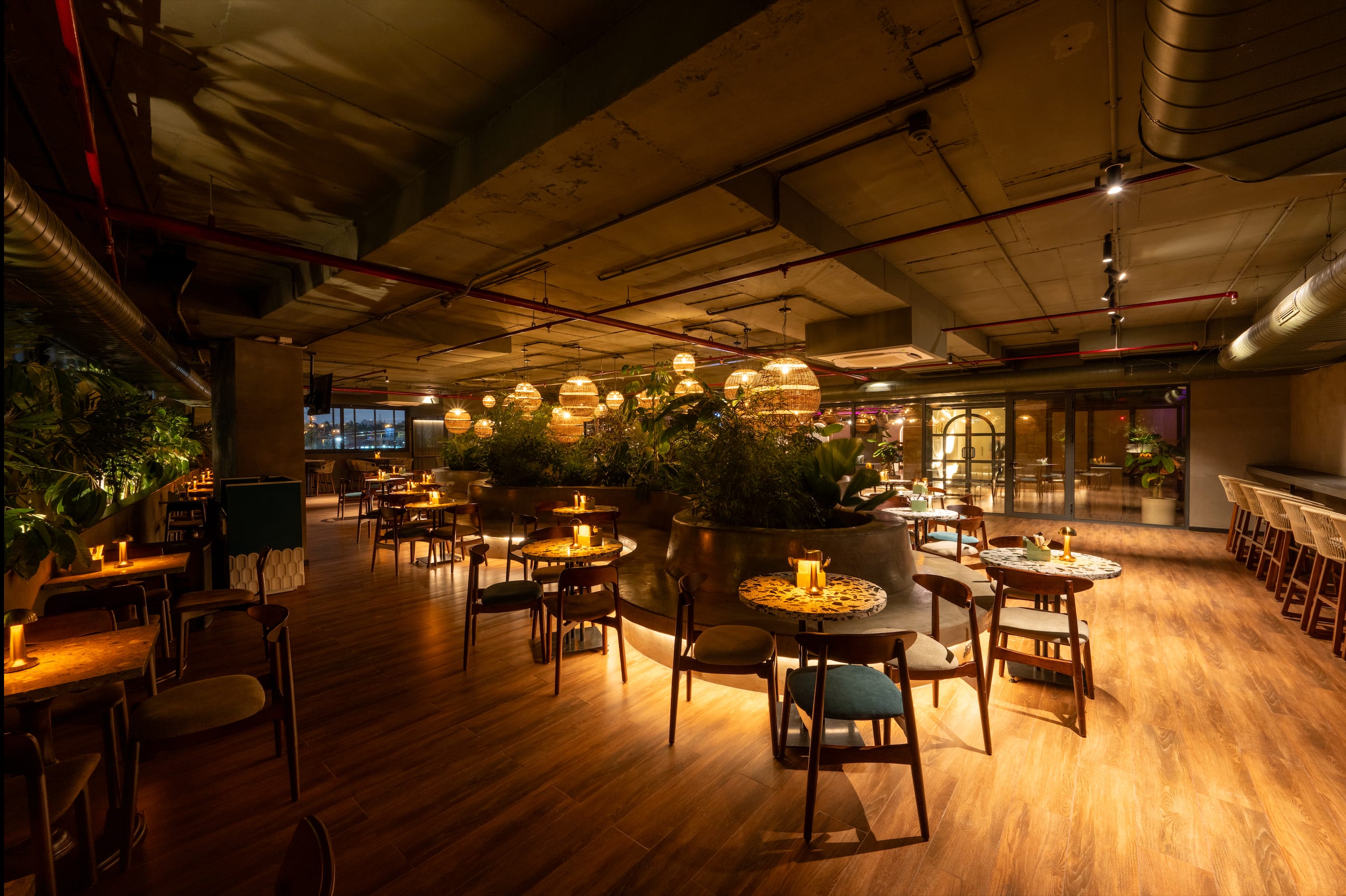 TYD, Hennur, Bangalore | Zomato