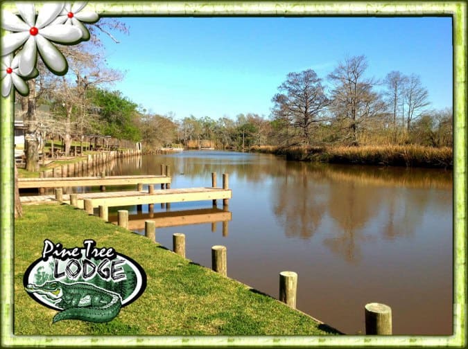 Pine Tree Lodge Menu, Menu for Pine Tree Lodge, Beaumont, Beaumont ...