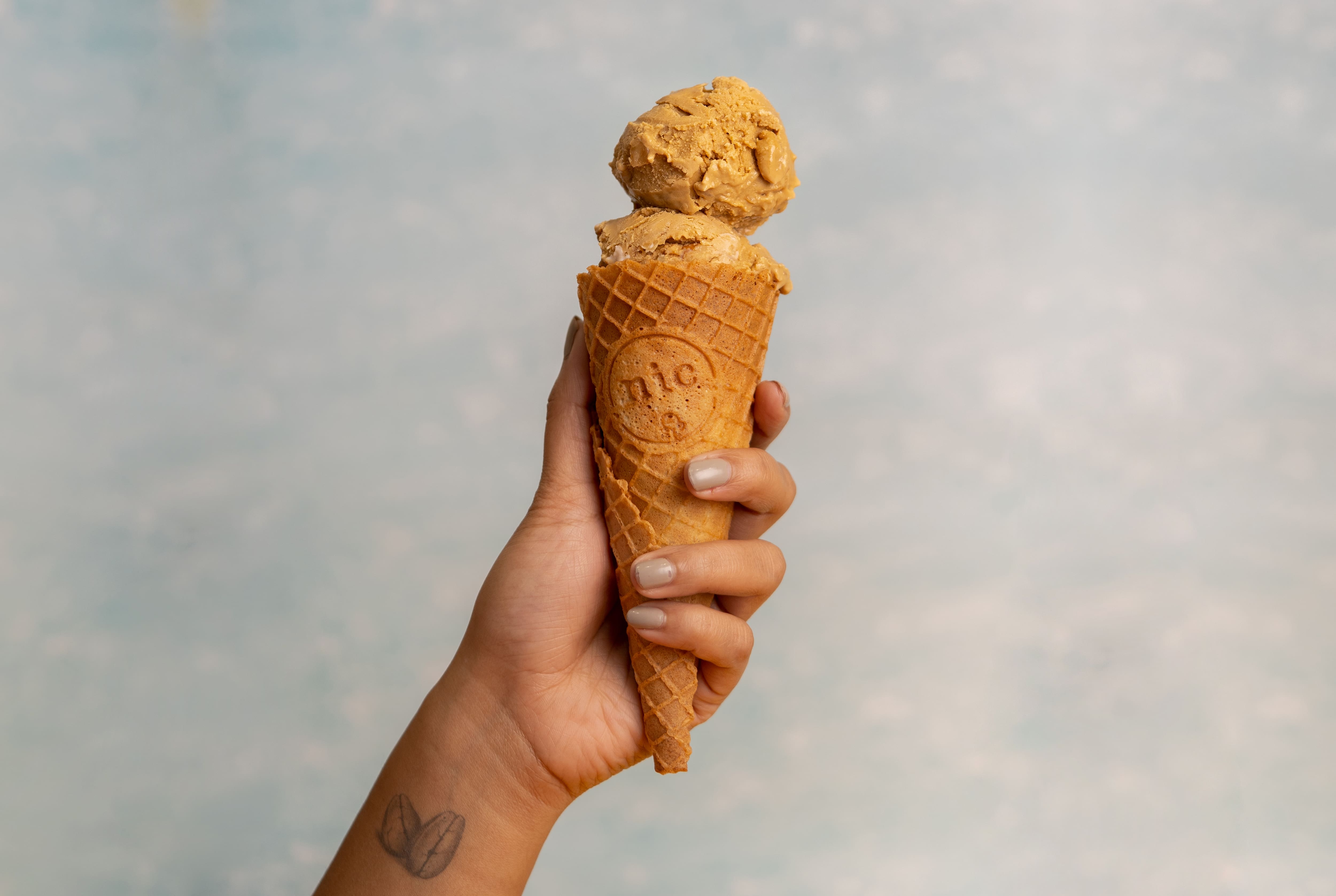 NIC Ice Creams, Vaishali Nagar, Jaipur | Zomato