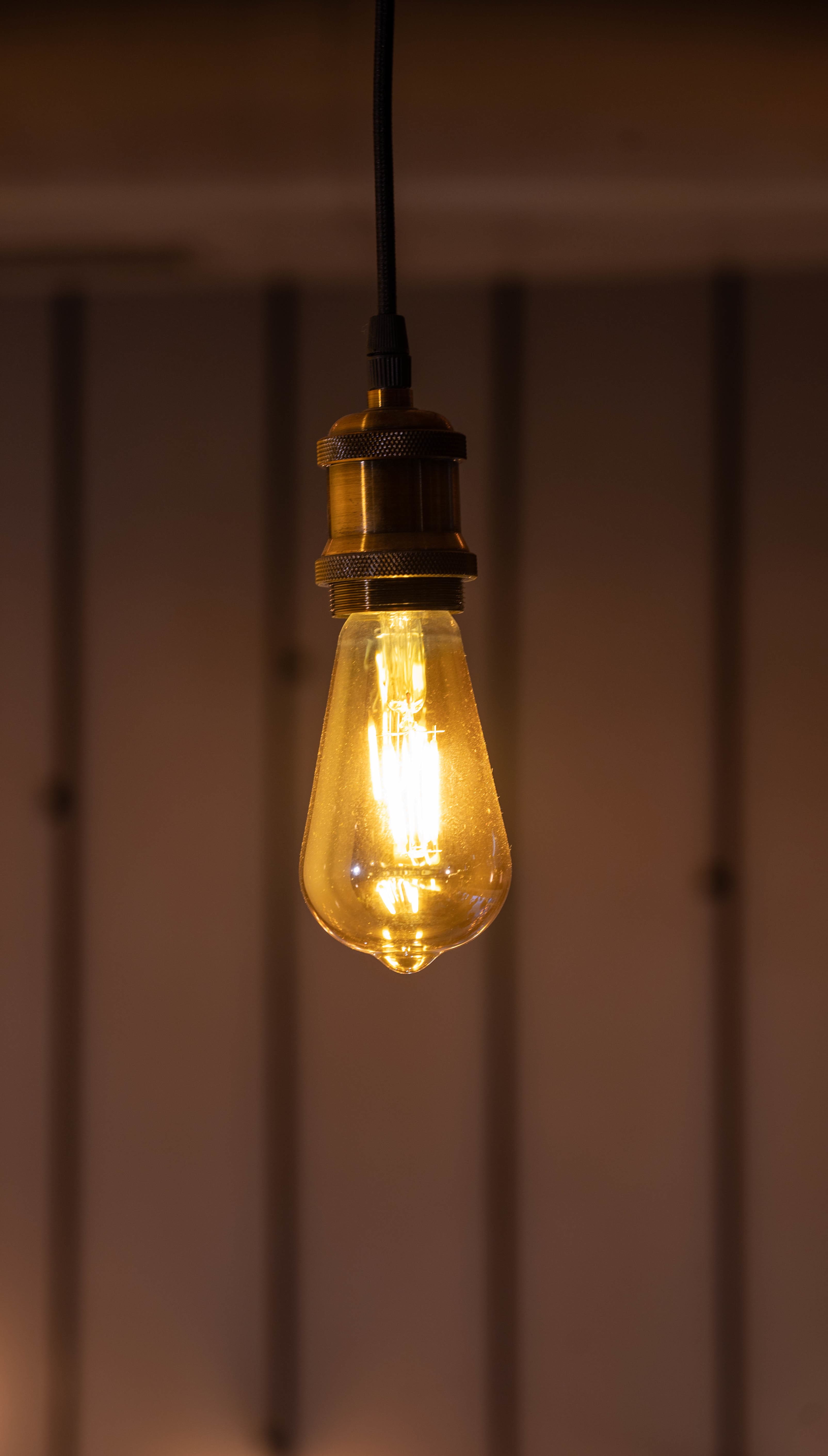 Cafe Sandoz, SDA, New Delhi | Zomato