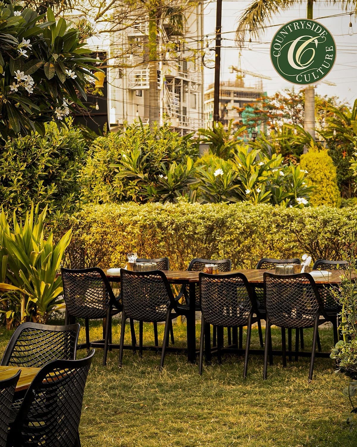 Countryside Culture, Gulmohar Colony, Bhopal | Zomato