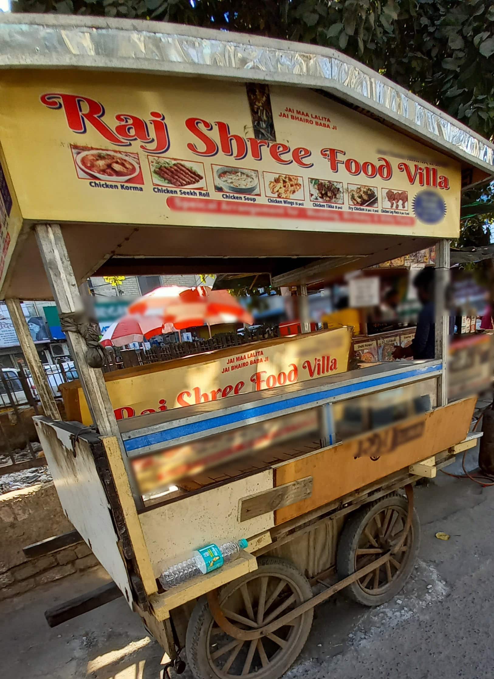 raj-street-food-villa-south-patel-nagar-new-delhi-zomato