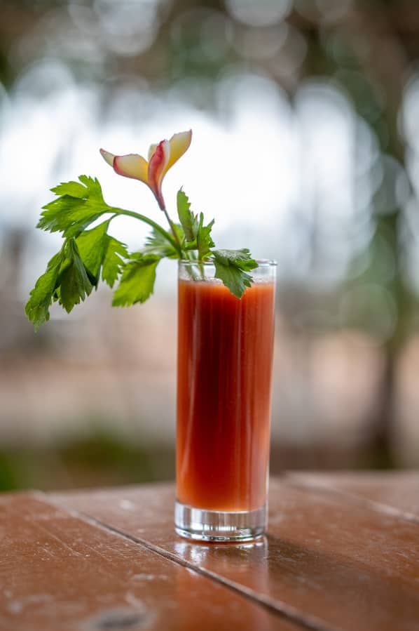 The Labyrinth Lakefront, Gandipet, Hyderabad | Zomato