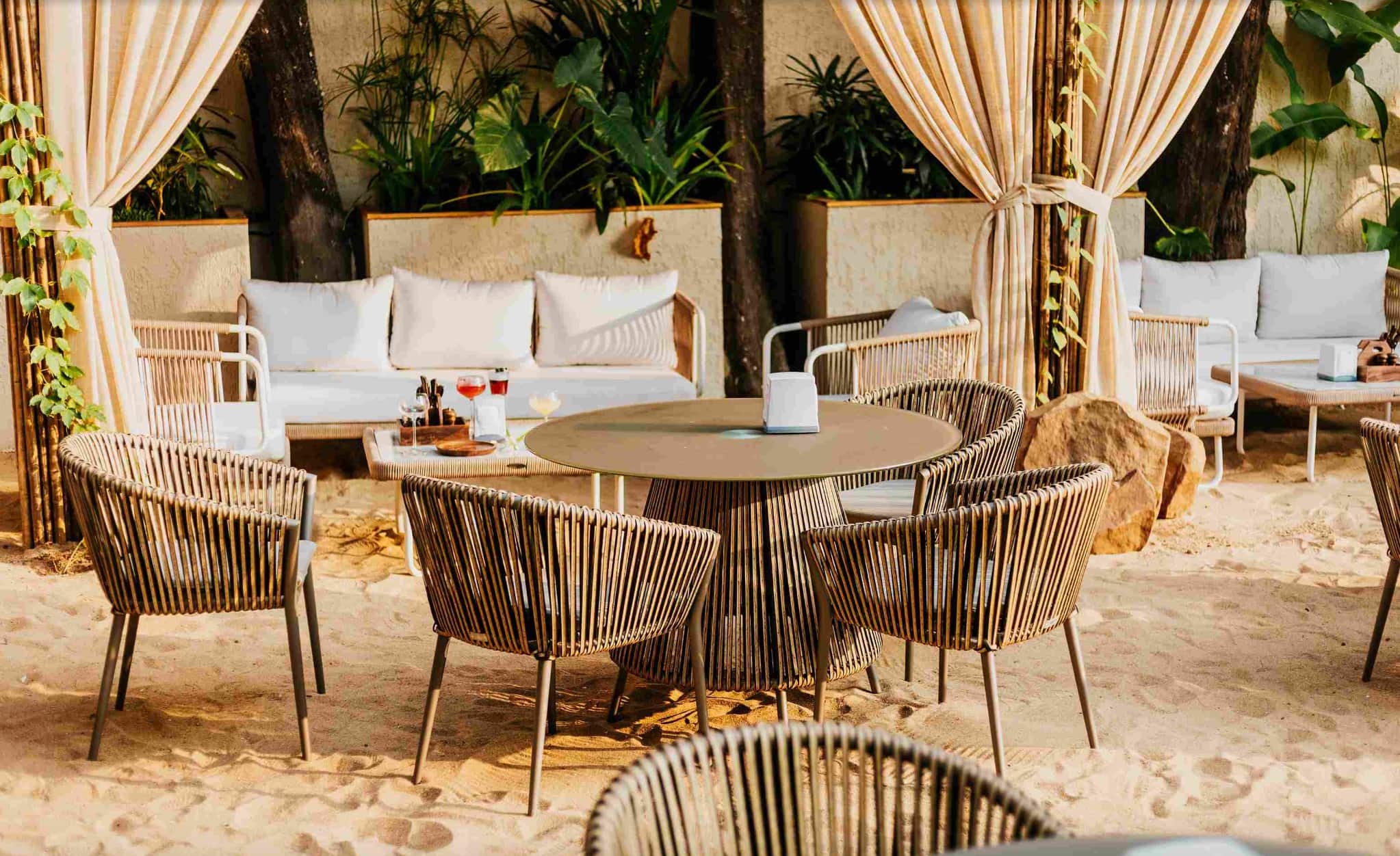 Goafornia, Morjim, Goa | Zomato