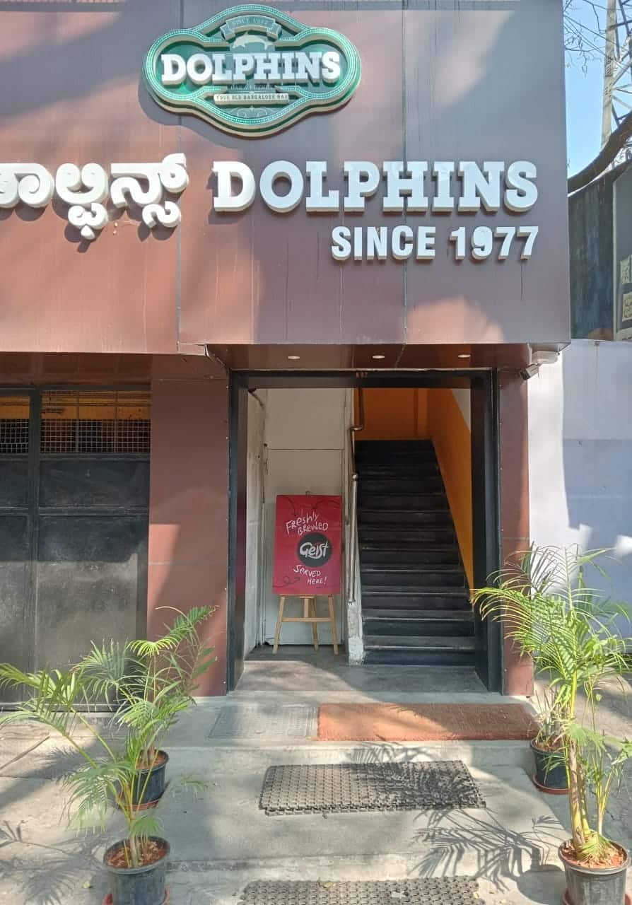 Menu of Dolphins Bar & Kitchen, Jayanagar, Bangalore
