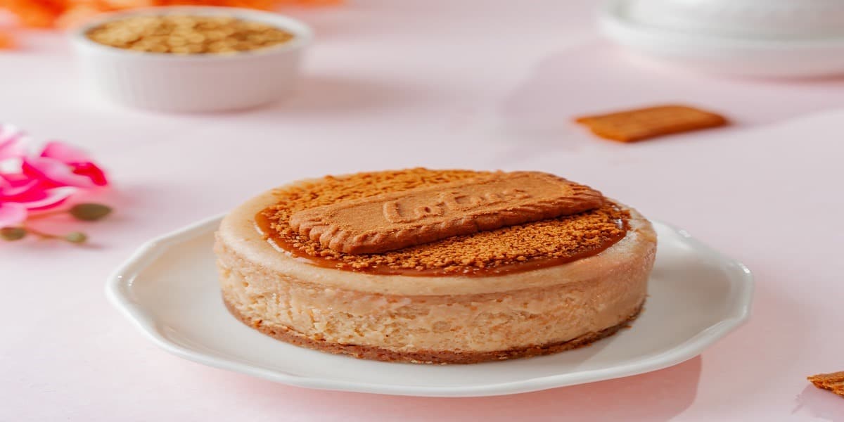 Hangout Cakes & More, Ghodbunder Road, Thane | Zomato