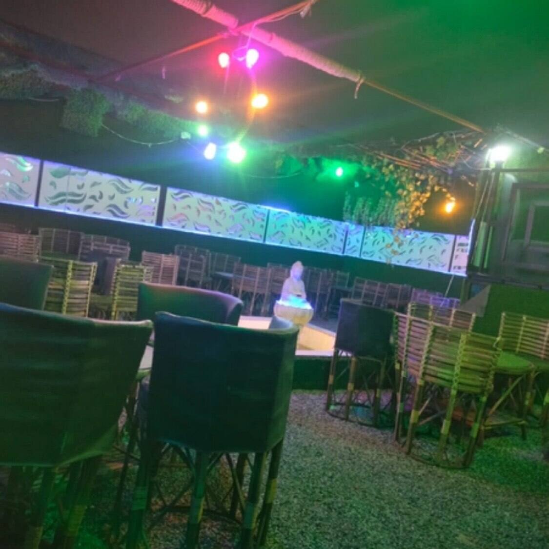 Junglee Taapu Cafe & Restaurant, Rohini order online - Zomato