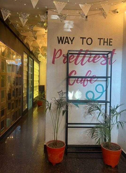 Infinity Cafe, Ranjit Avenue, Amritsar | Zomato