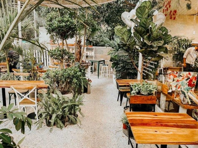 Tea cafe near me store