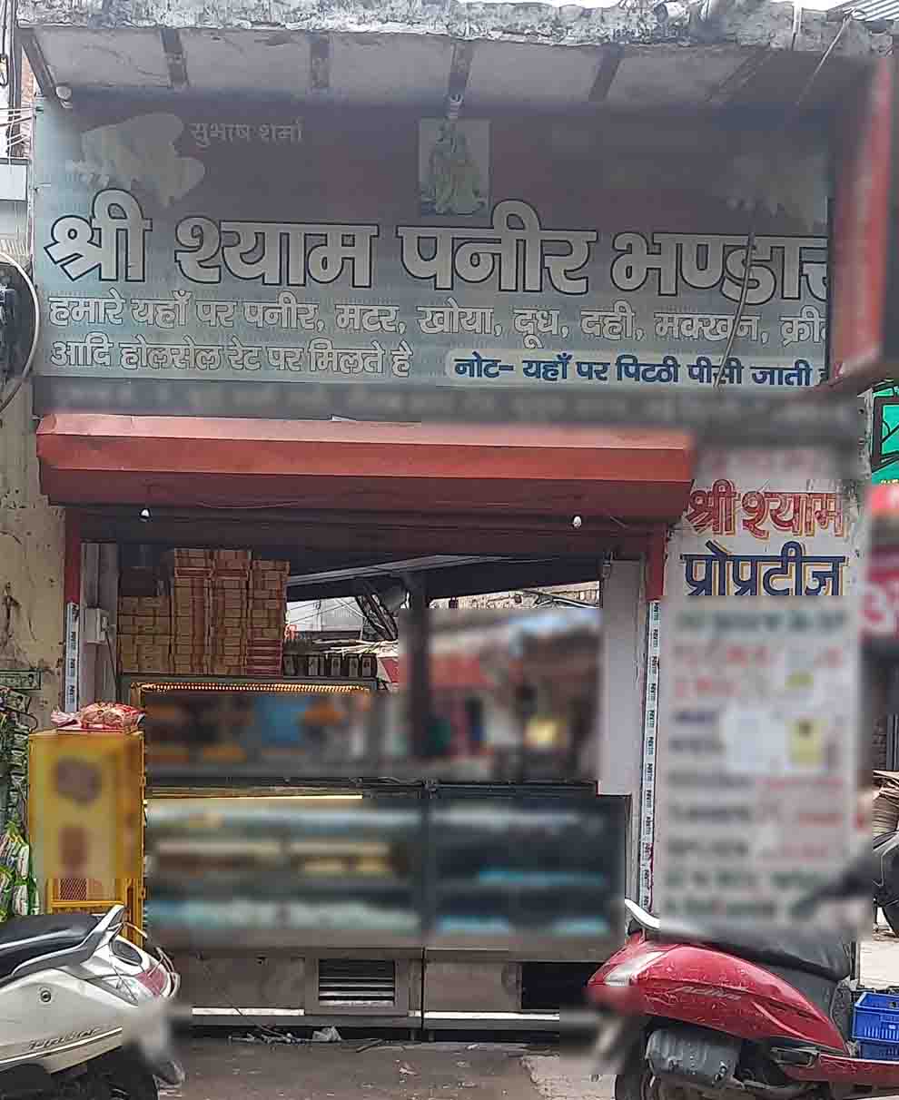 Shree Shyam Paneer Bhandar, Yusuf Sarai, New Delhi | Zomato