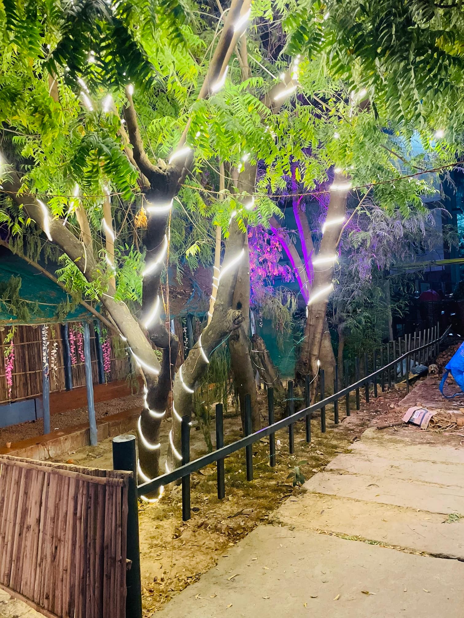 Sutta Chai Bar, Saket Nagar, Kanpur | Zomato