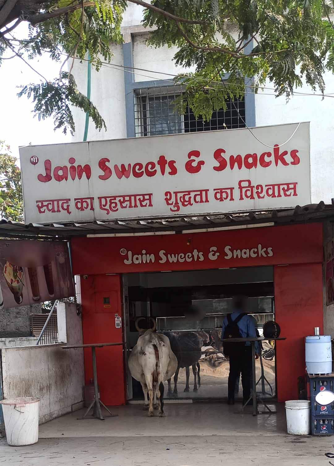Shree Jain Sweets & Snacks, Kavas, Surat | Zomato