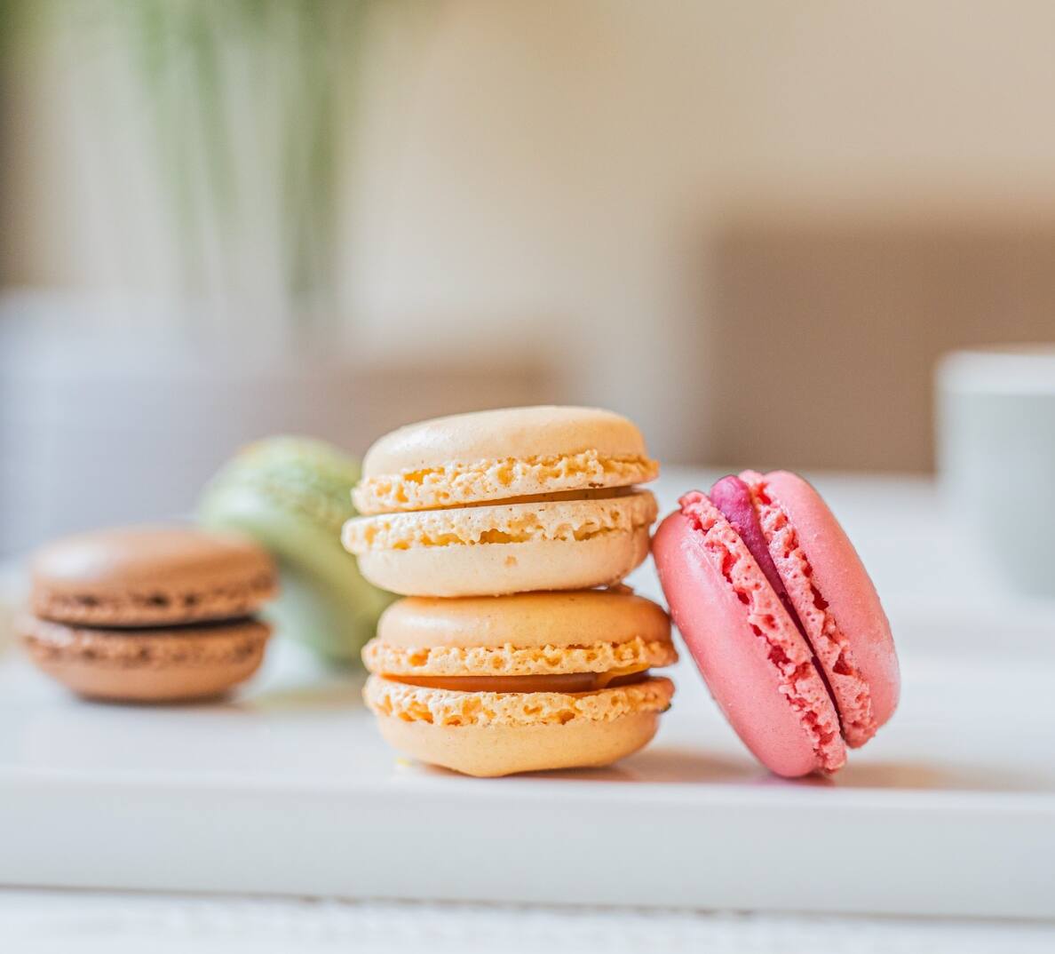 Swani Cafe, Jumeirah 1, Dubai | Zomato