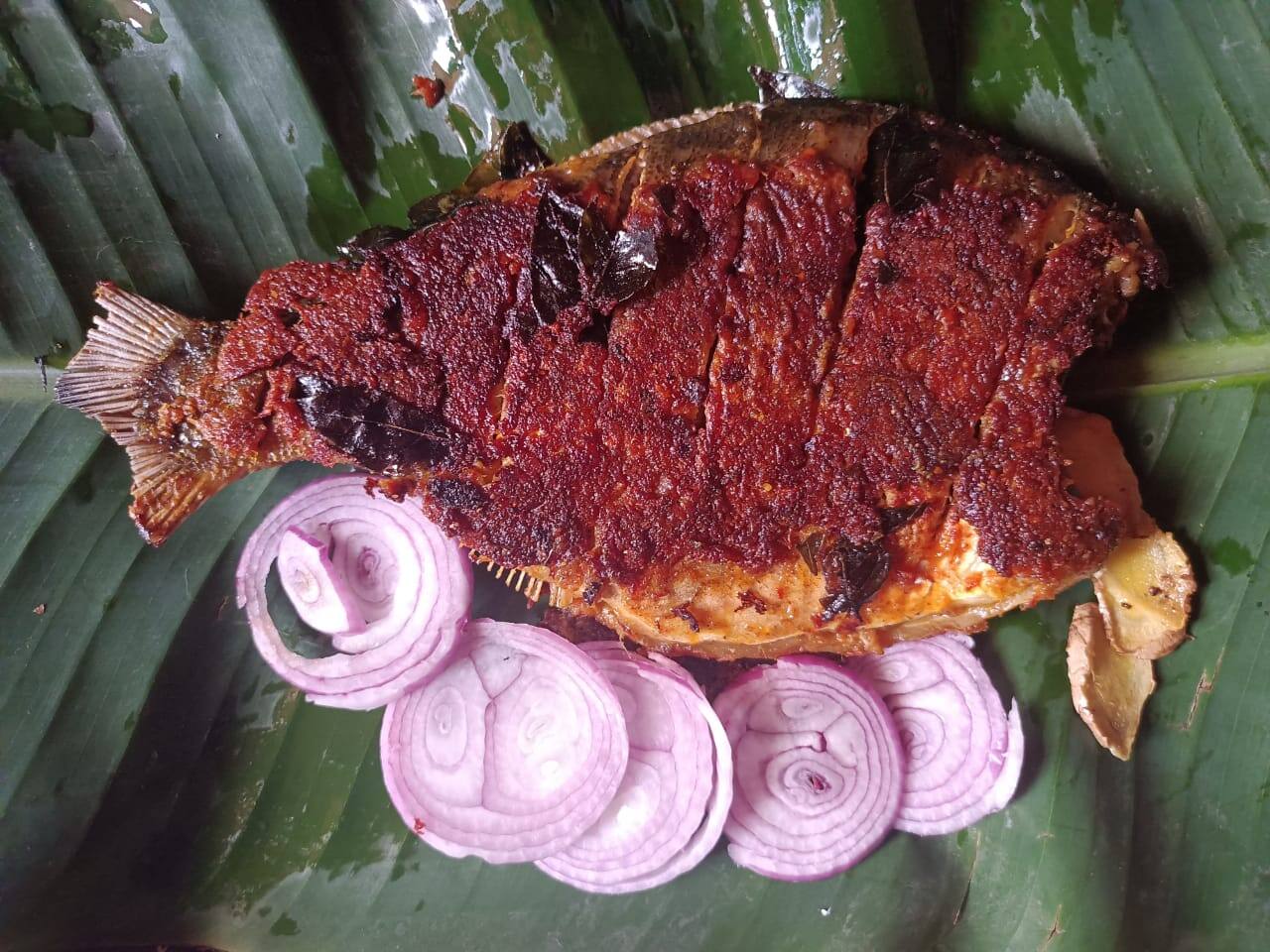 Fish Fusion, Vasundhara, Ghaziabad | Zomato