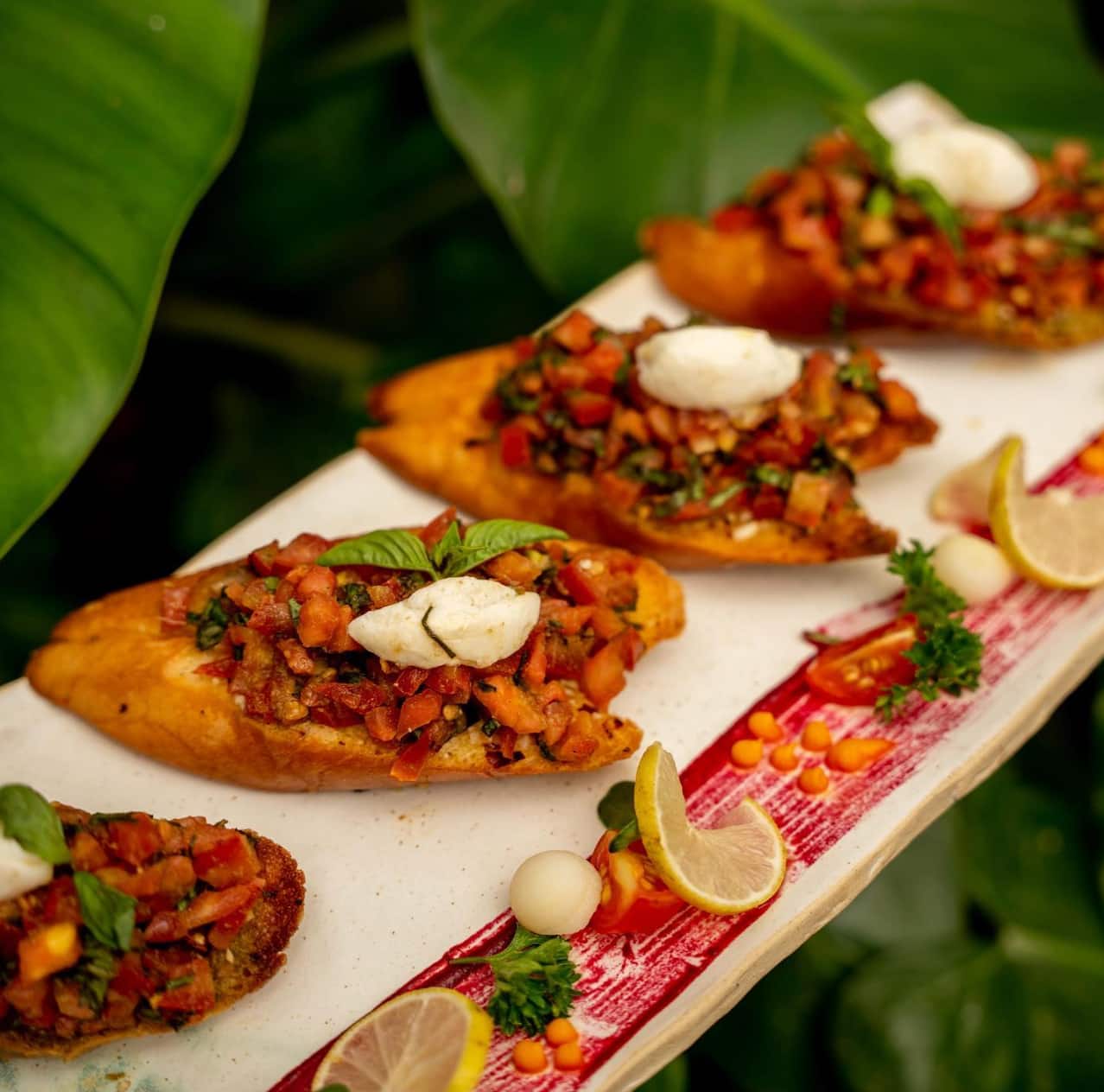 Omagge Bar & Kitchen, Morjim, Goa | Zomato