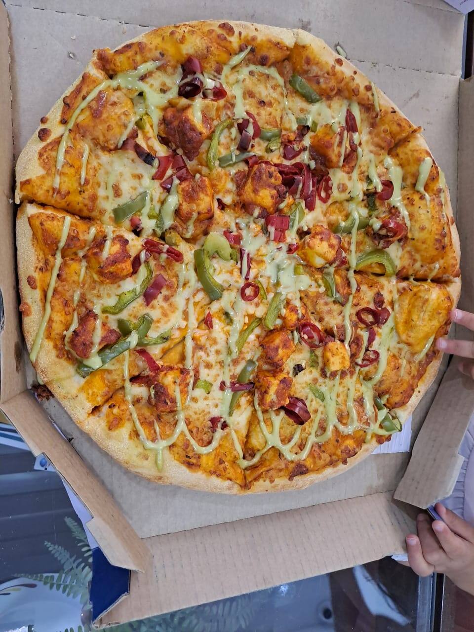 Mozzarella Moon, Vijay Nagar, Indore | Zomato