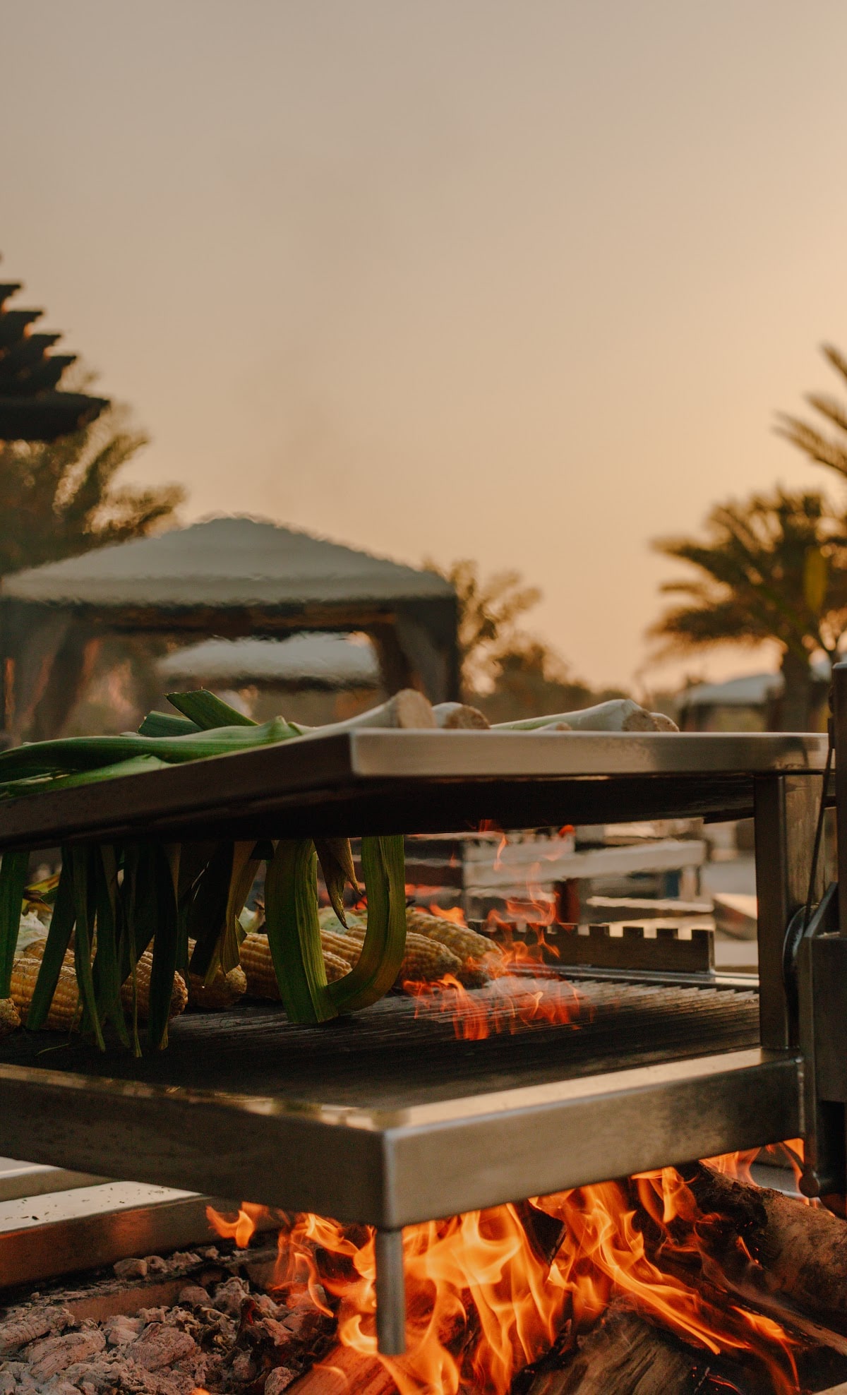 Sand & Koal, Al Ras Al Akhdar, Abu Dhabi | Zomato