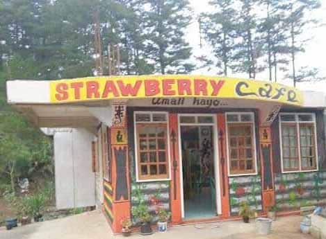 Menu of Strawberry Cafe, T. Nagar, Chennai