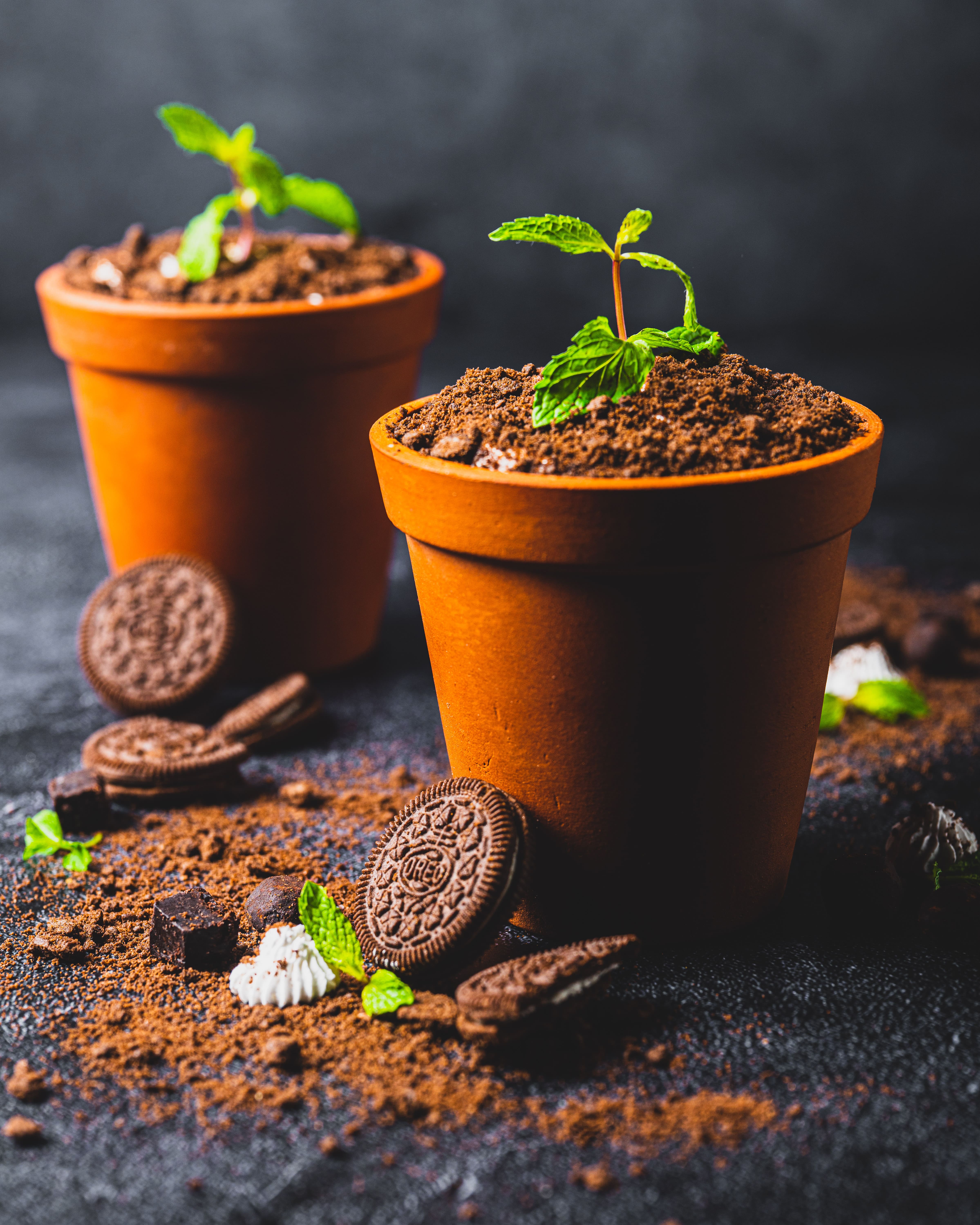 Rajouri Garden Social, Tagore Garden, New Delhi | Zomato