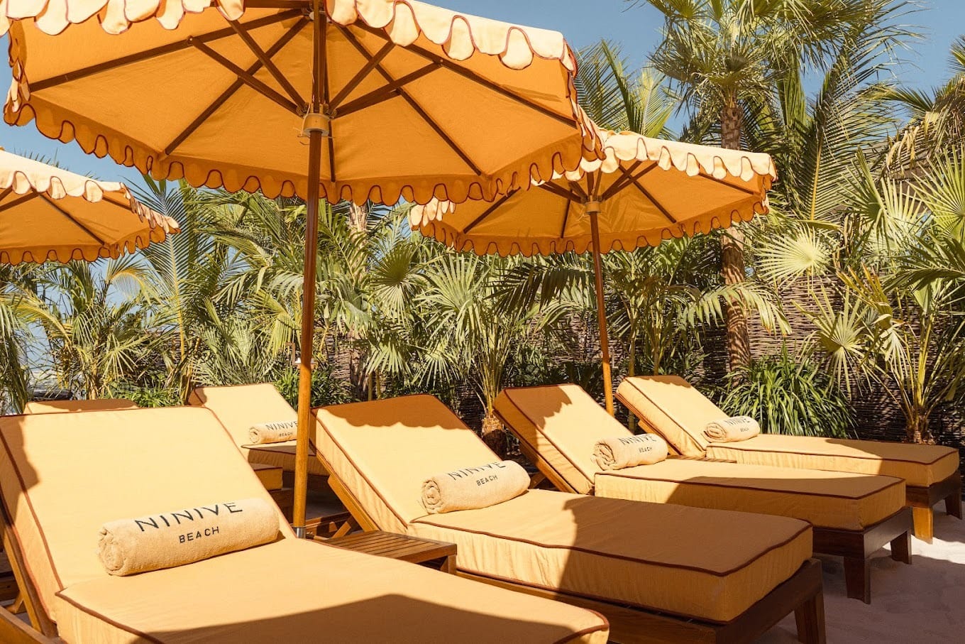 Ninive Beach, Jumeirah 1, Dubai | Zomato
