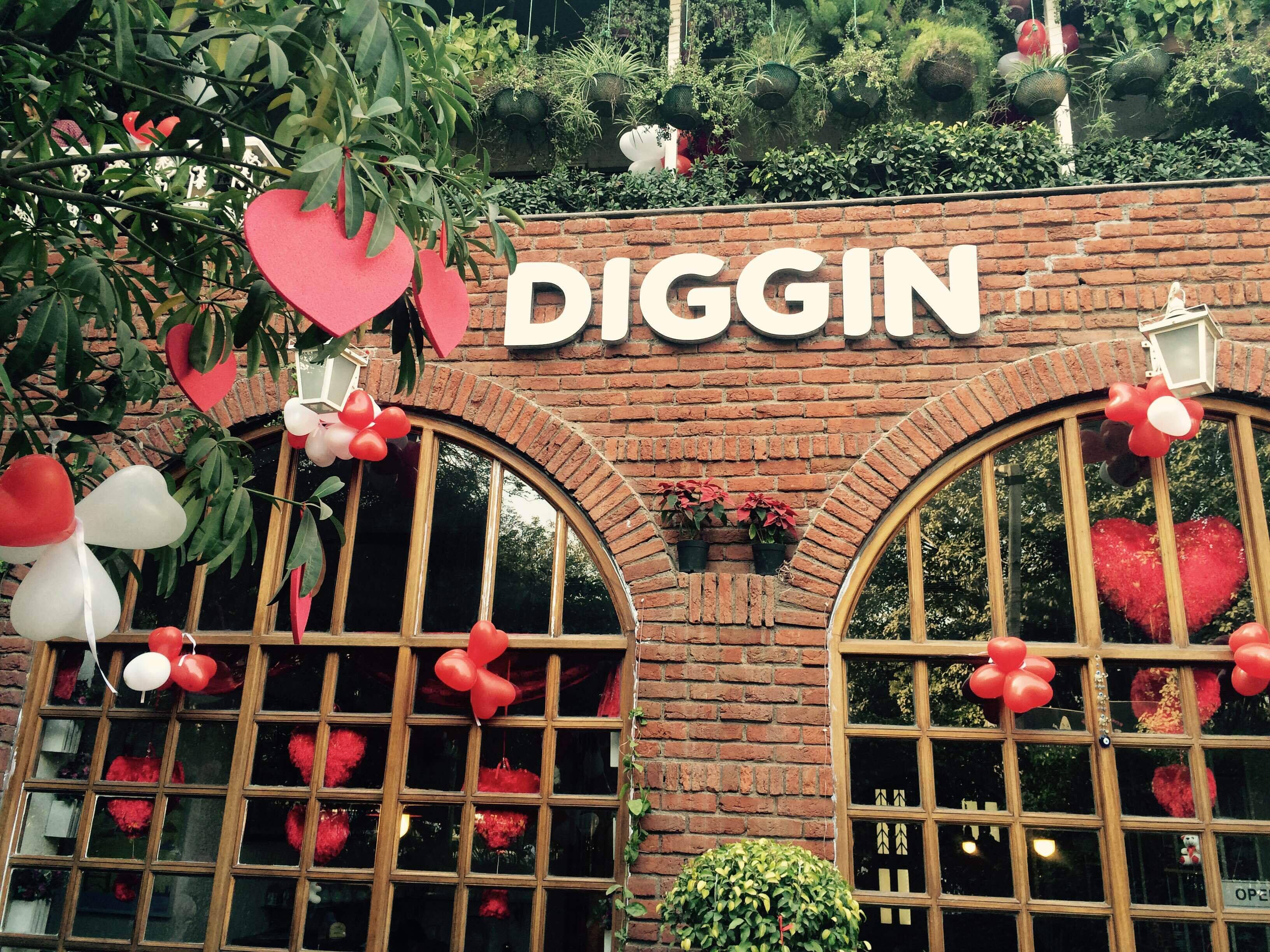 Diggin, Anand Lok, New Delhi - Zomato