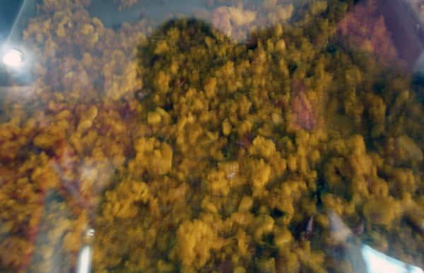 Maaz Sweets & Bakers Menu, Menu for Maaz Sweets & Bakers, Bhandup ...