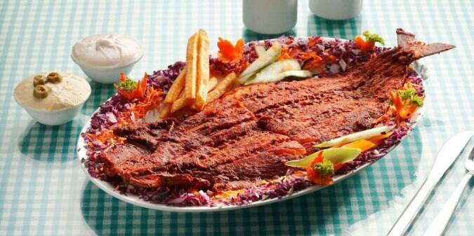 Savoury Sea Shell Photos, Pictures of Savoury Sea Shell, Velachery ...