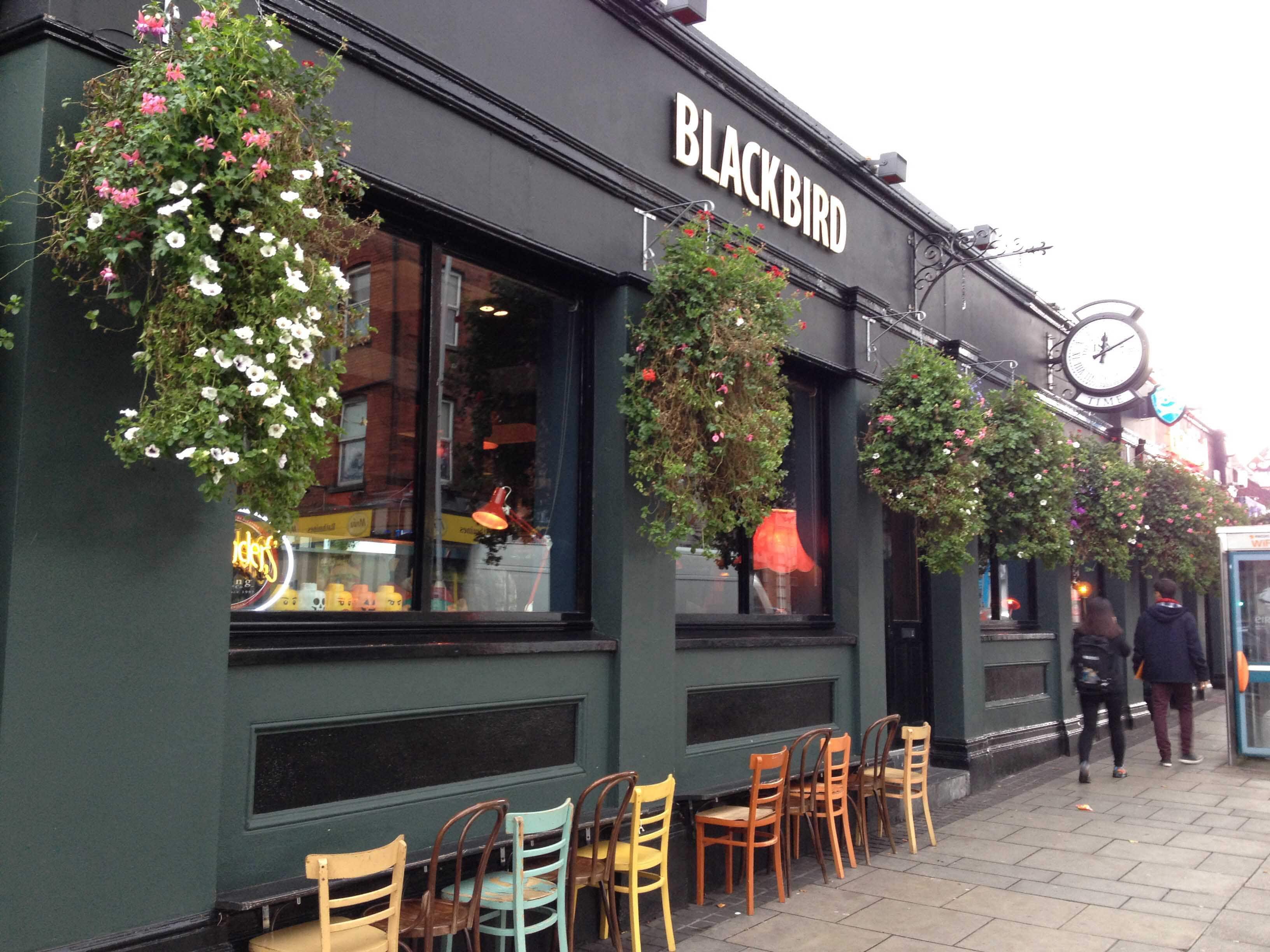 Blackbird, Rathmines, Dublin | Zomato