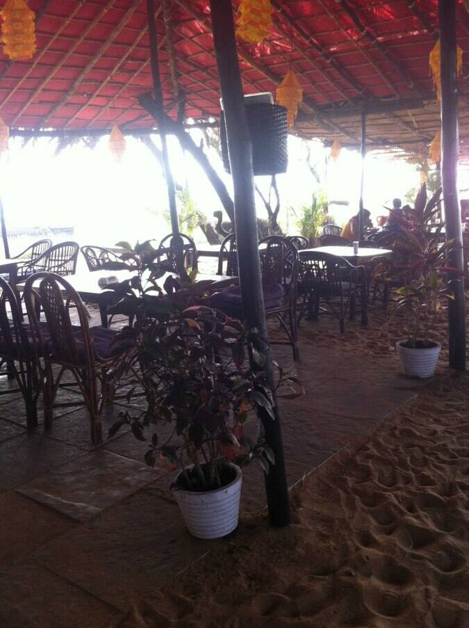 Pine Tree, Calangute, Goa - Zomato