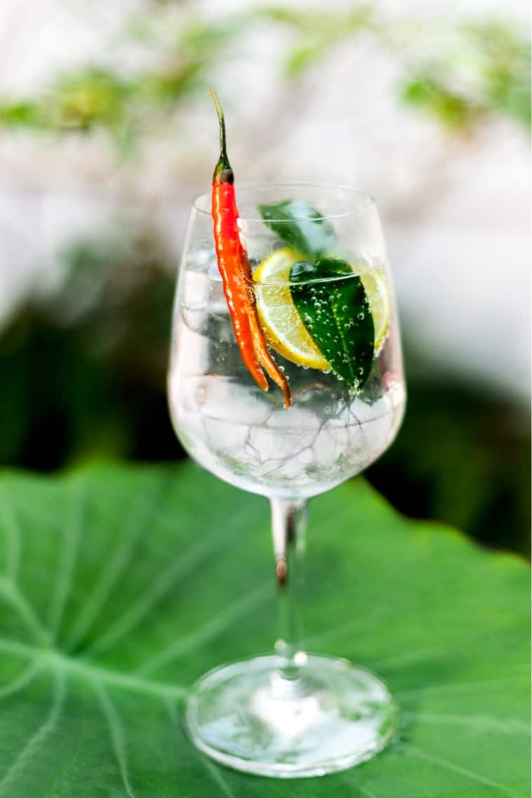 Meiphung, Baga, Goa | Zomato