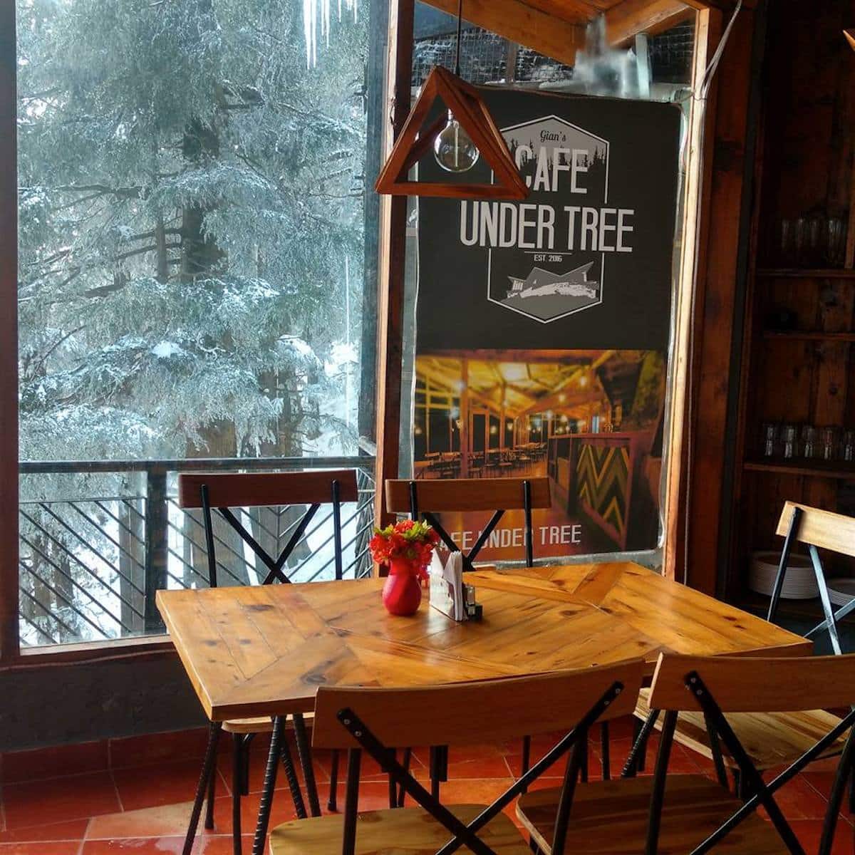 Cafe Under Tree, Longwood, Shimla | Zomato