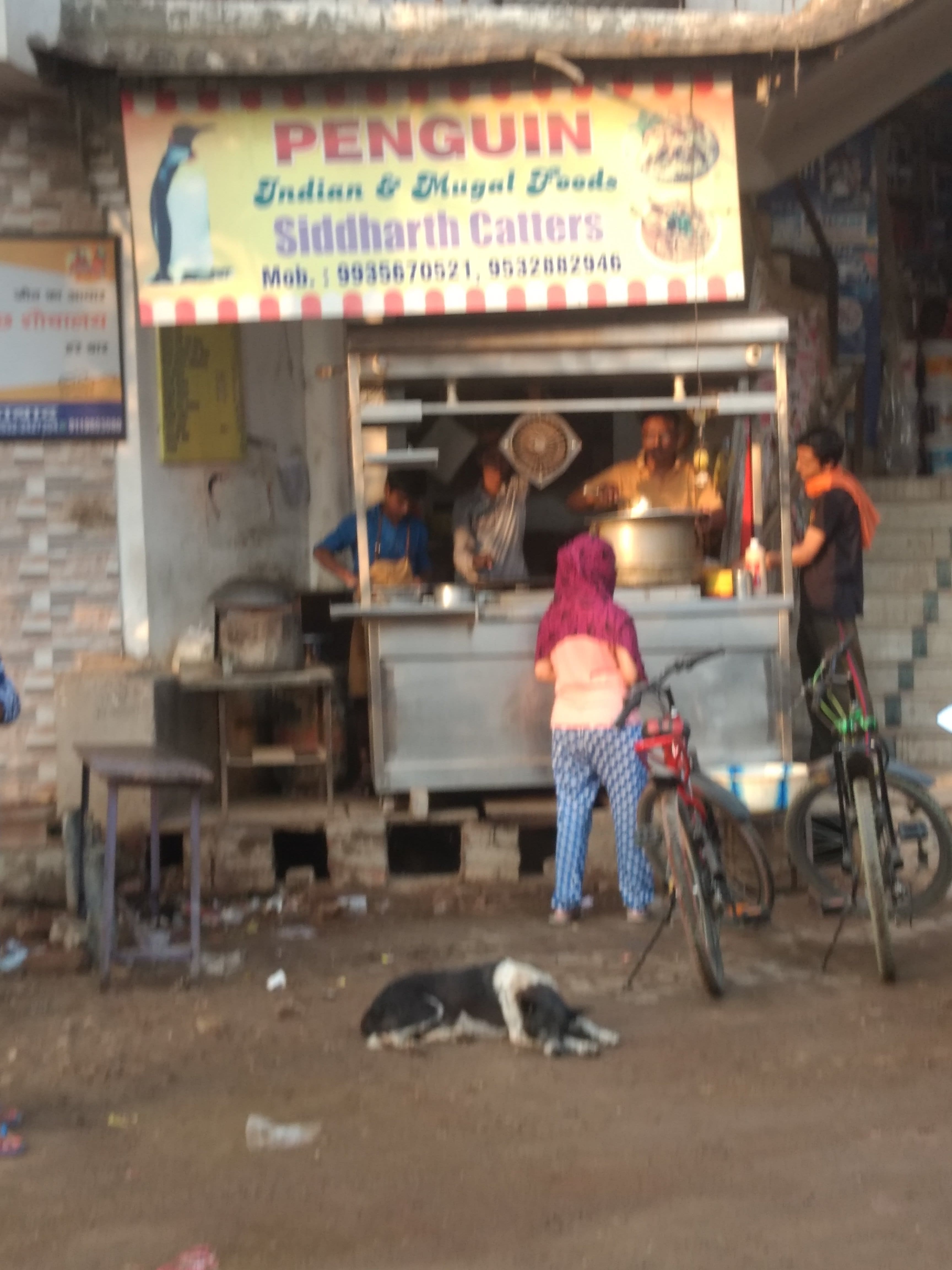 Penguin Indian & Mughal Foods, Allapur order online - Zomato