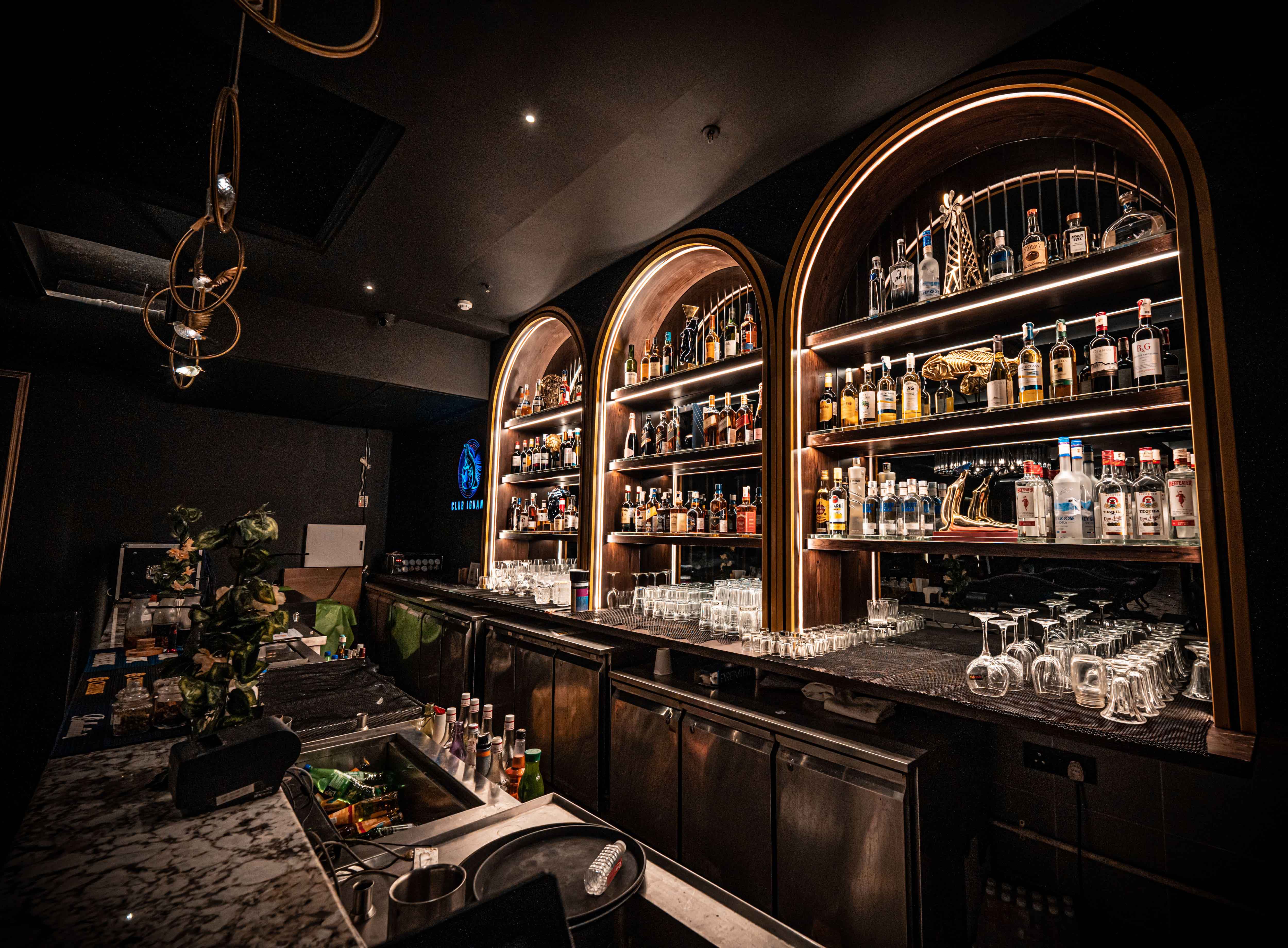 Club Iguana, Worli, Mumbai | Zomato