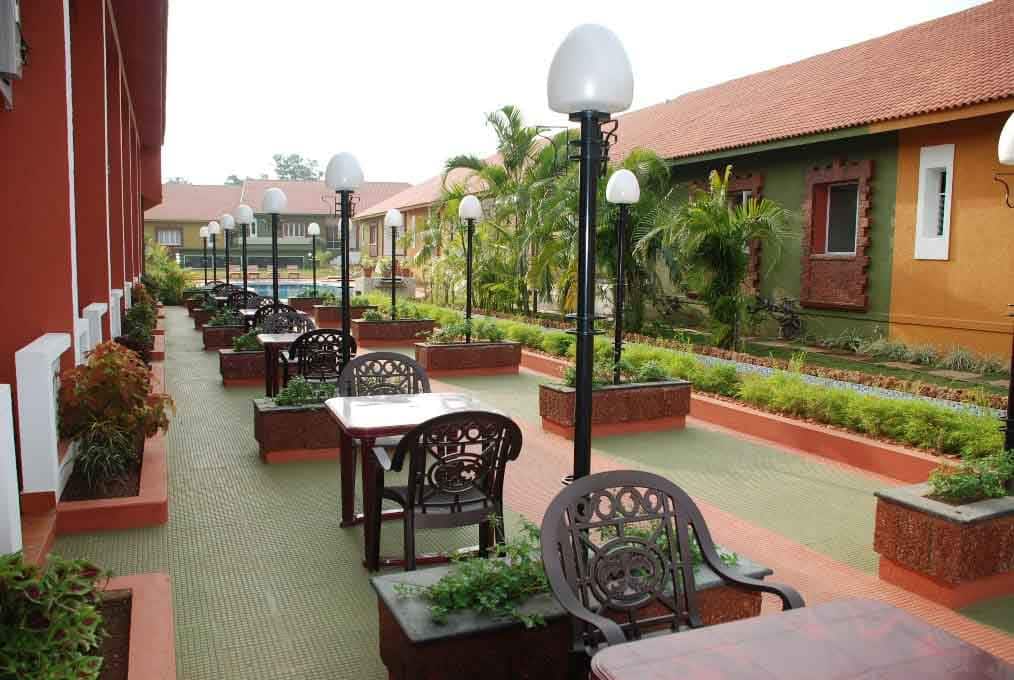 Ginger Tree Resort, Anjuna, Goa | Zomato