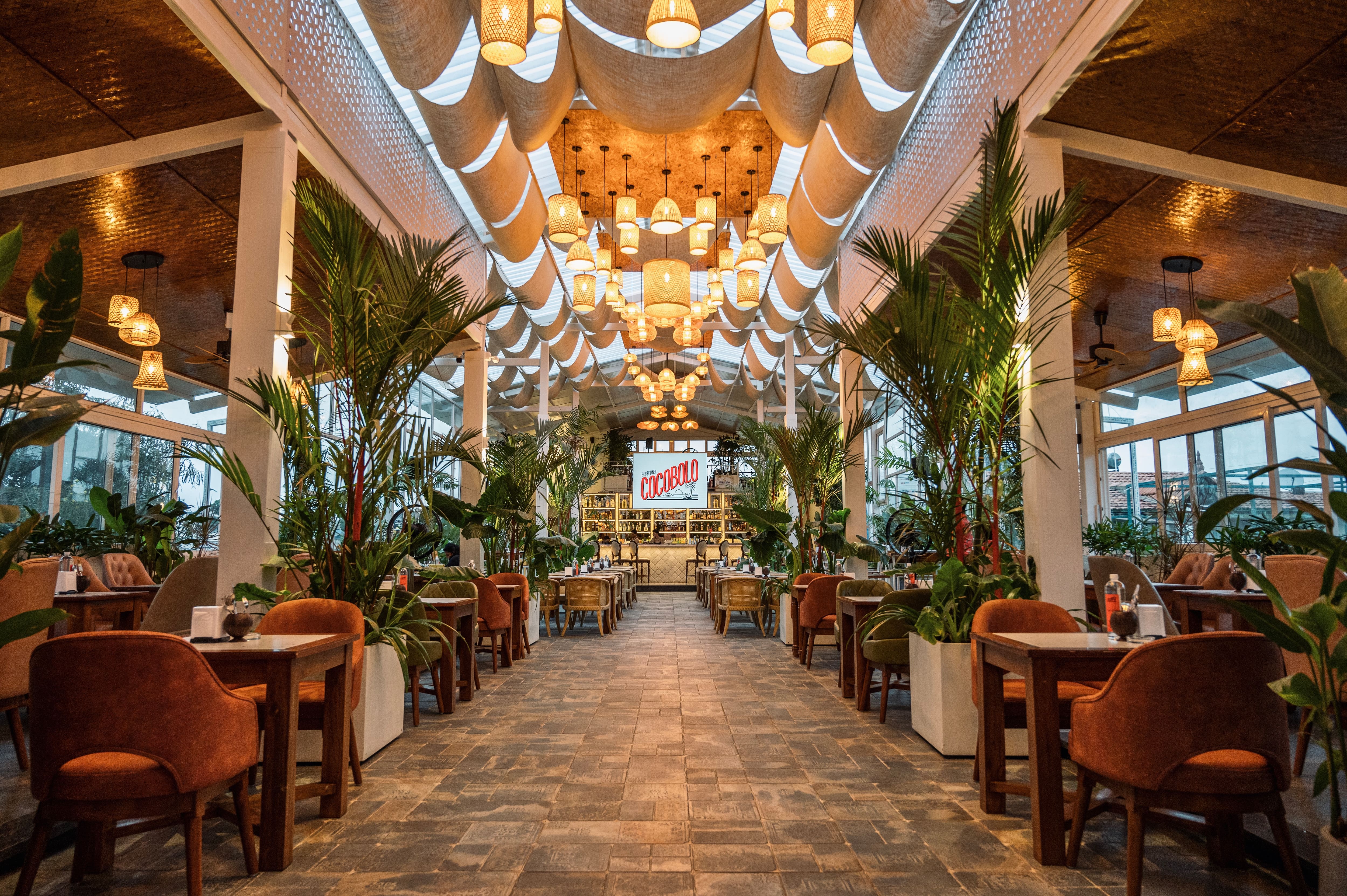 Cocobolo, New BEL Road, Bangalore | Zomato