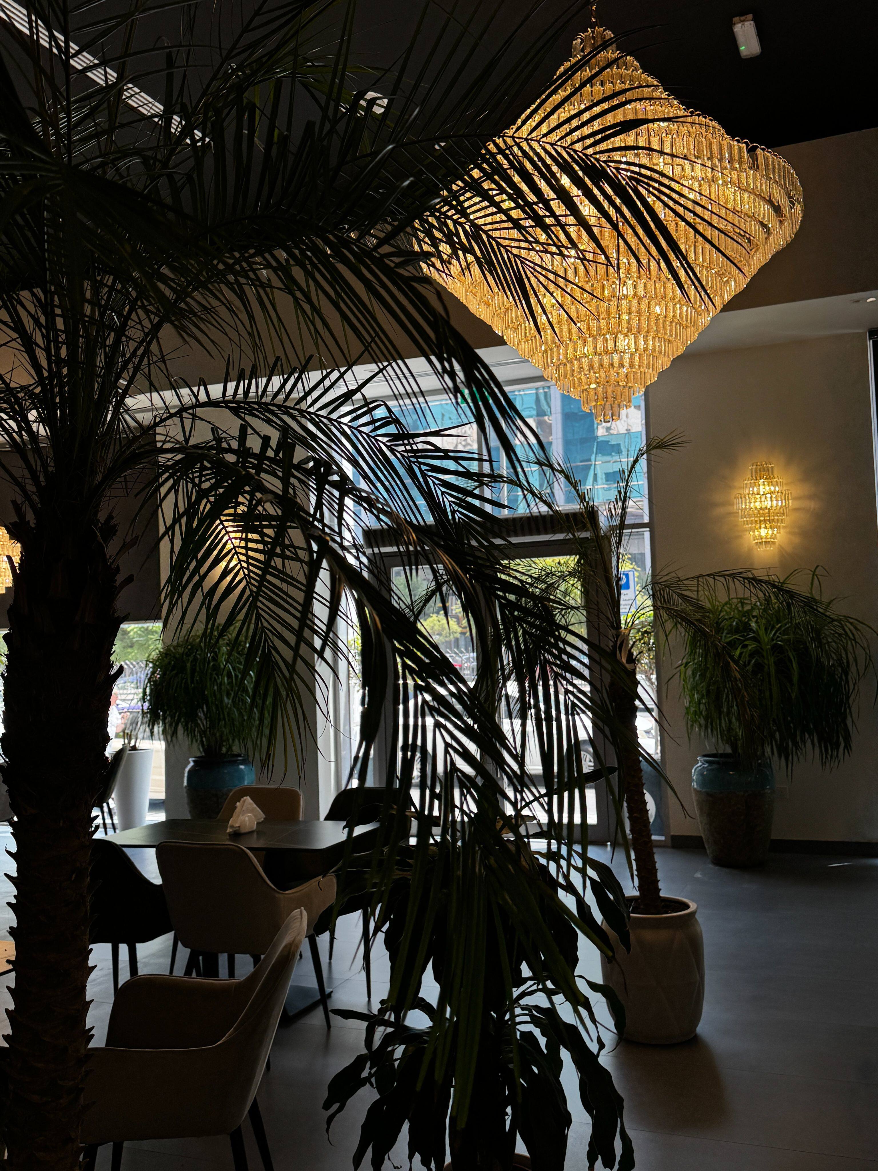 Gilaneh Restaurant, Al Rigga, Dubai | Zomato