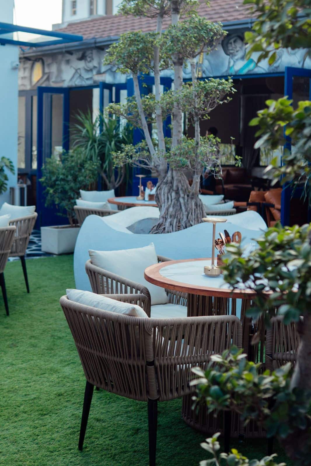 Wild Sage, TDI City, Mohali | Zomato