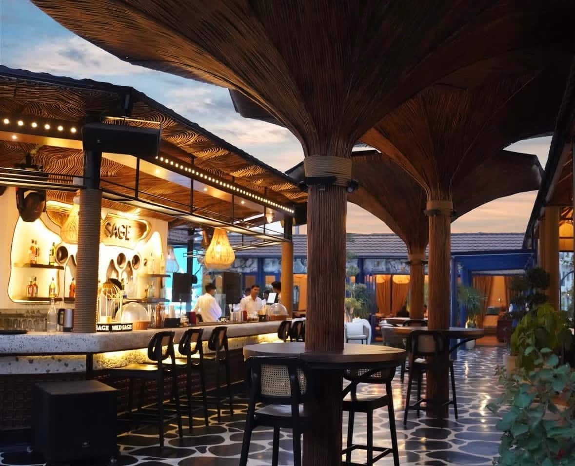 Wild Sage, TDI City, Mohali | Zomato