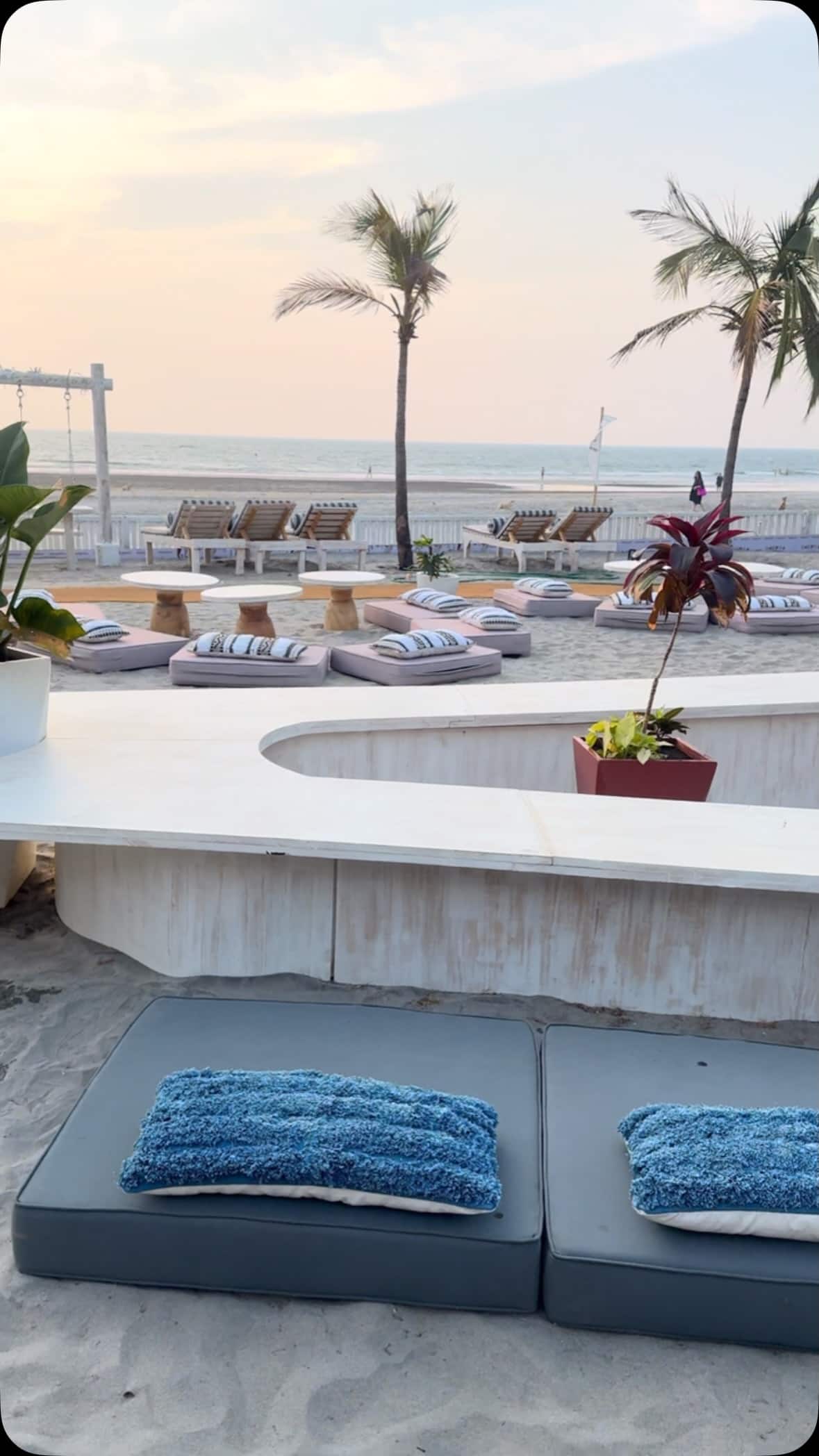 Farzi Beach, Morjim, Goa | Zomato