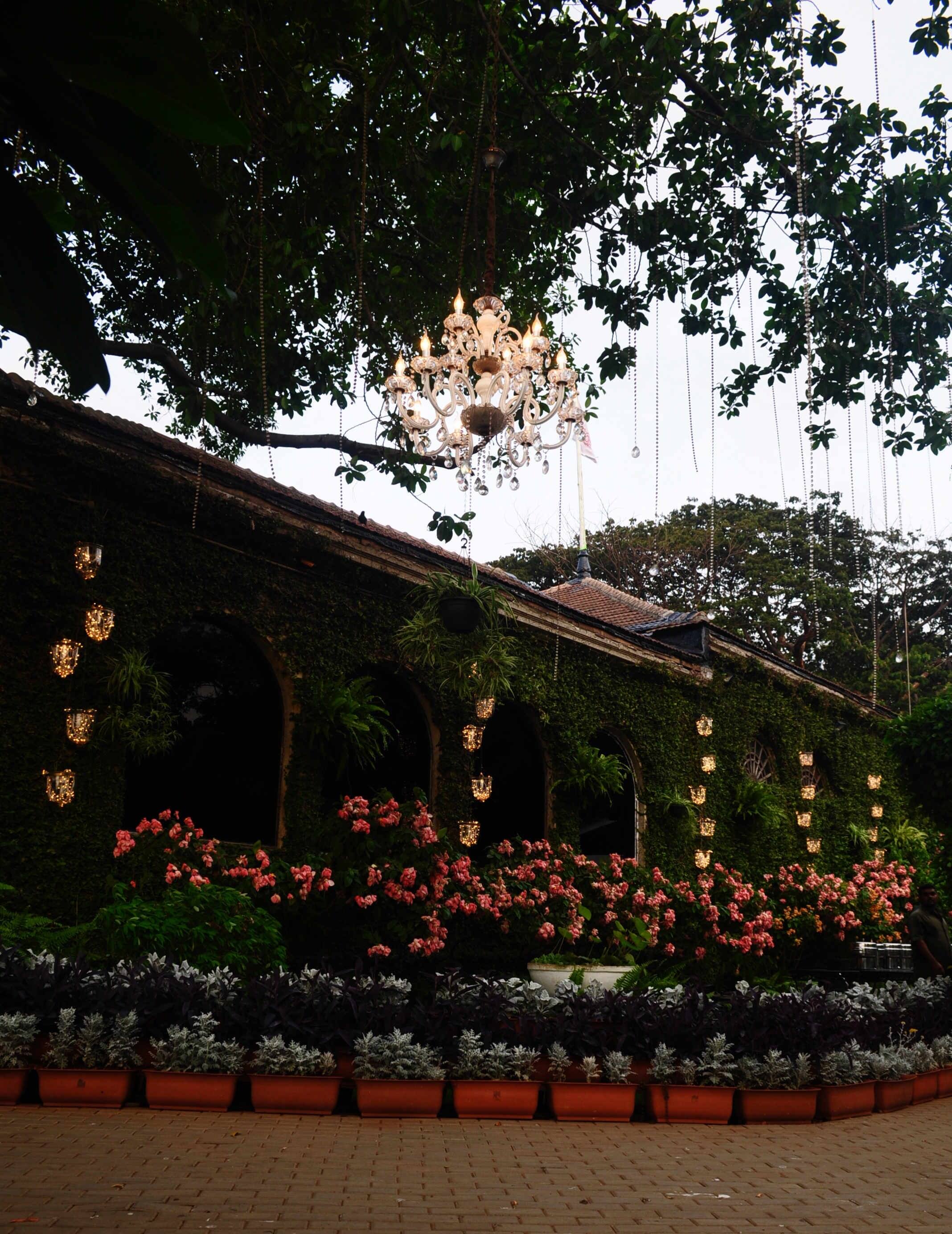 Gallops, Mahalaxmi, Mumbai - Zomato