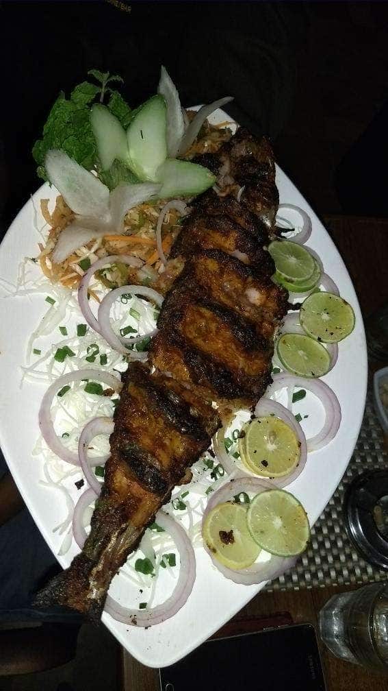 Bird Valley, Wakad – Get ₹150 OFF on your first order