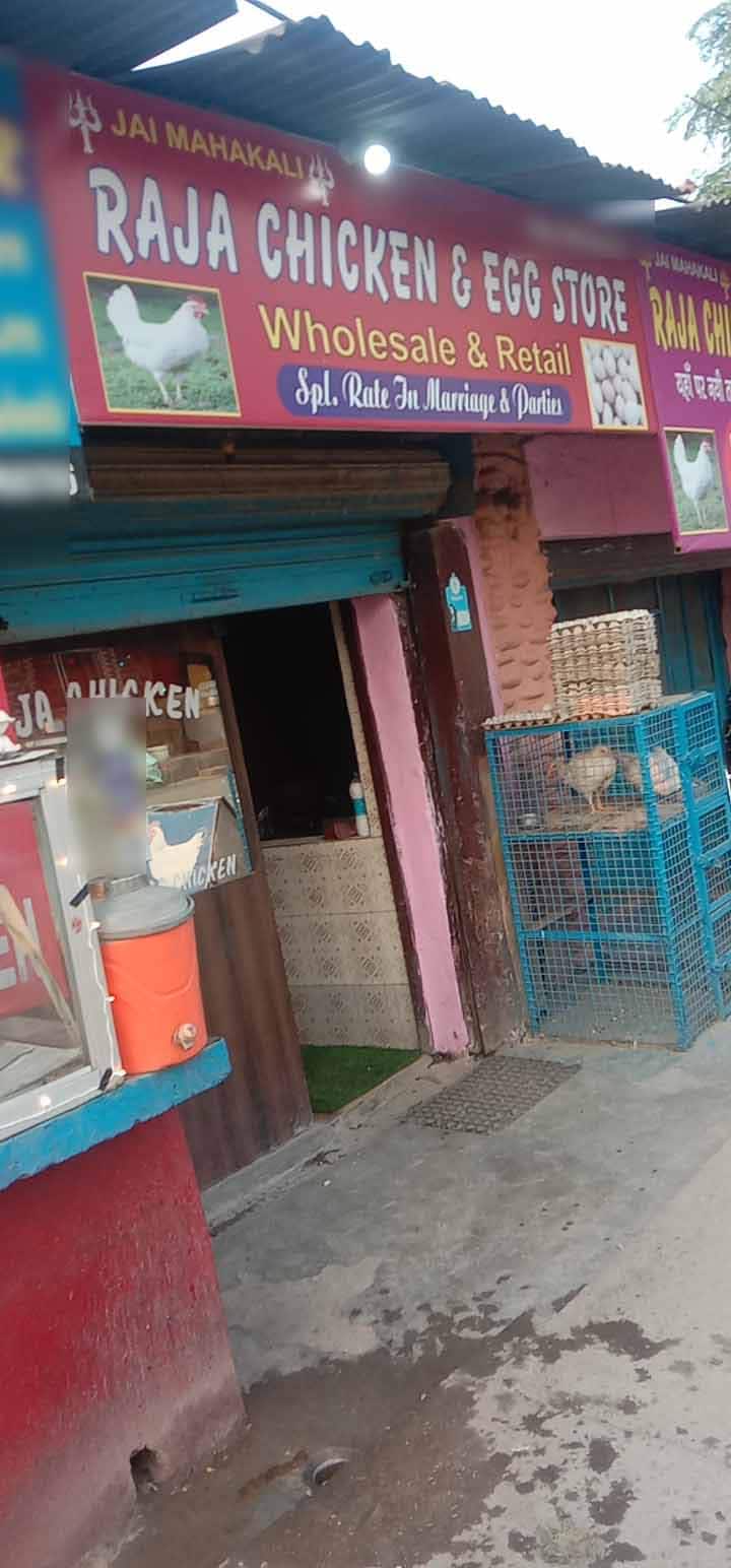Raja Chicken & Egg Store, Shiv Nagar, Jammu | Zomato