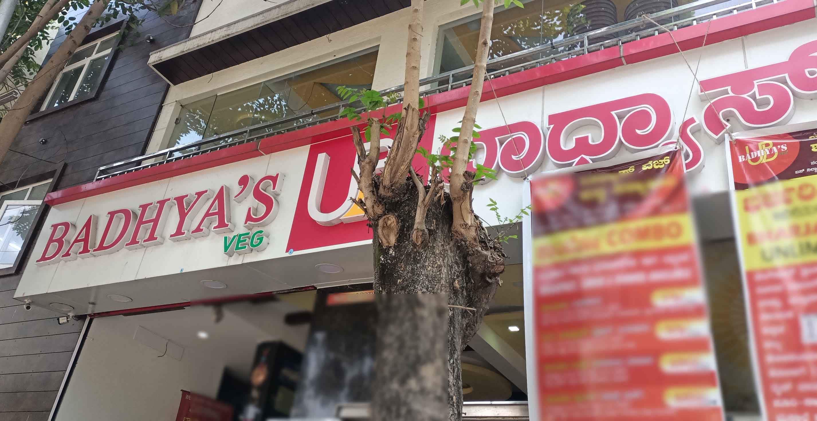 Badhya's Veg, Kumaraswamy Layout order online - Zomato