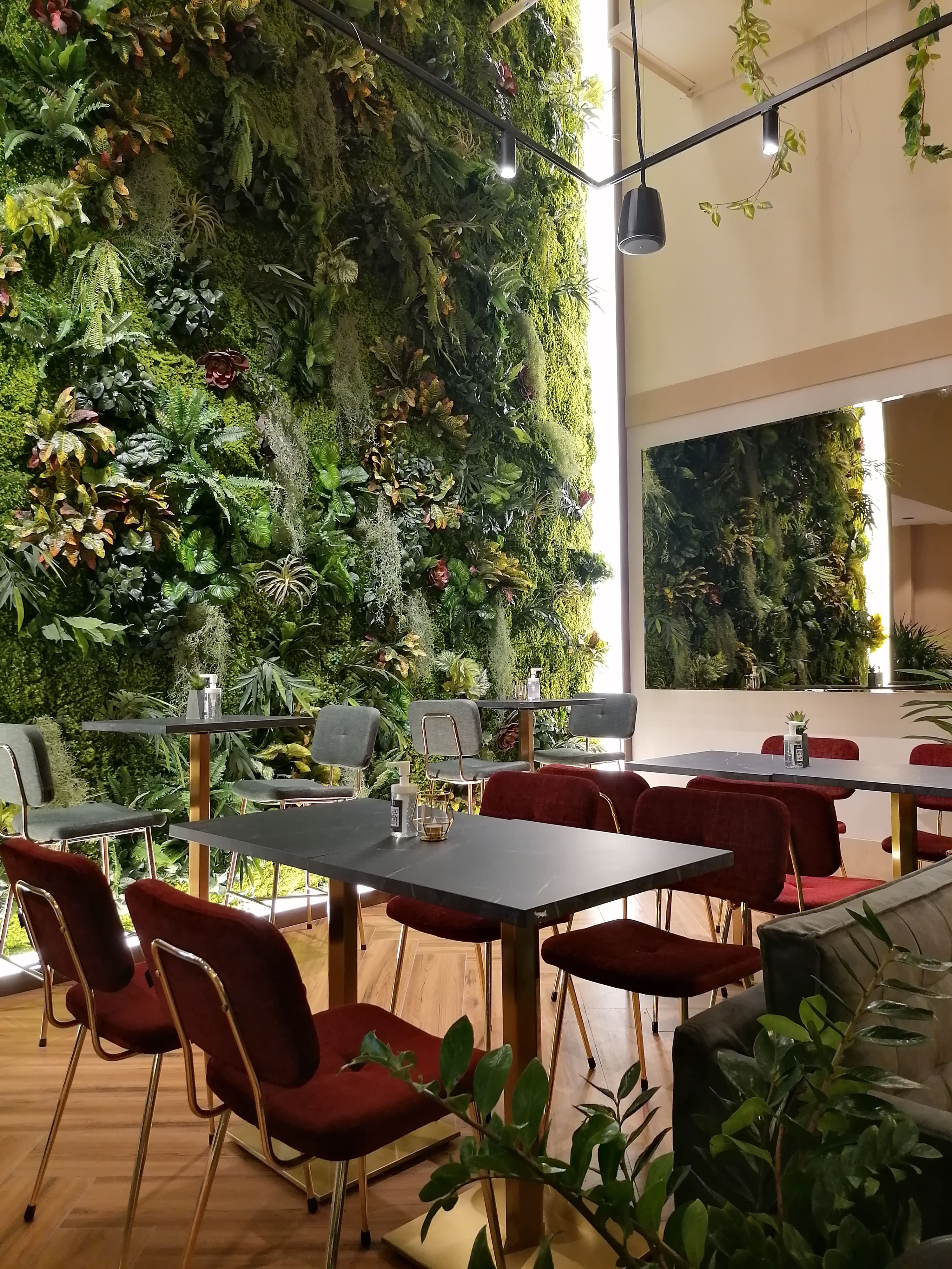 The Botanic Atrium, Al Markaziya, Abu Dhabi | Zomato
