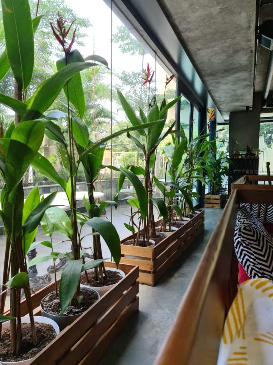 K's Verandah, Piplod, Surat | Zomato