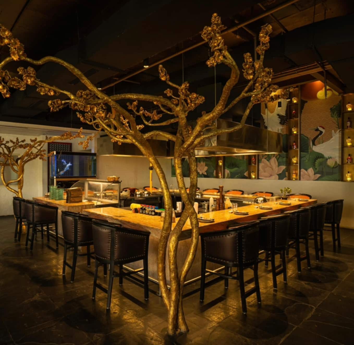 Harp By Maruchi, Lado Sarai, New Delhi | Zomato