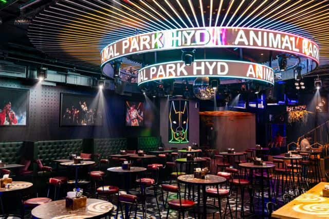 Animal Club and Kitchen, Gachibowli, Hyderabad | Zomato