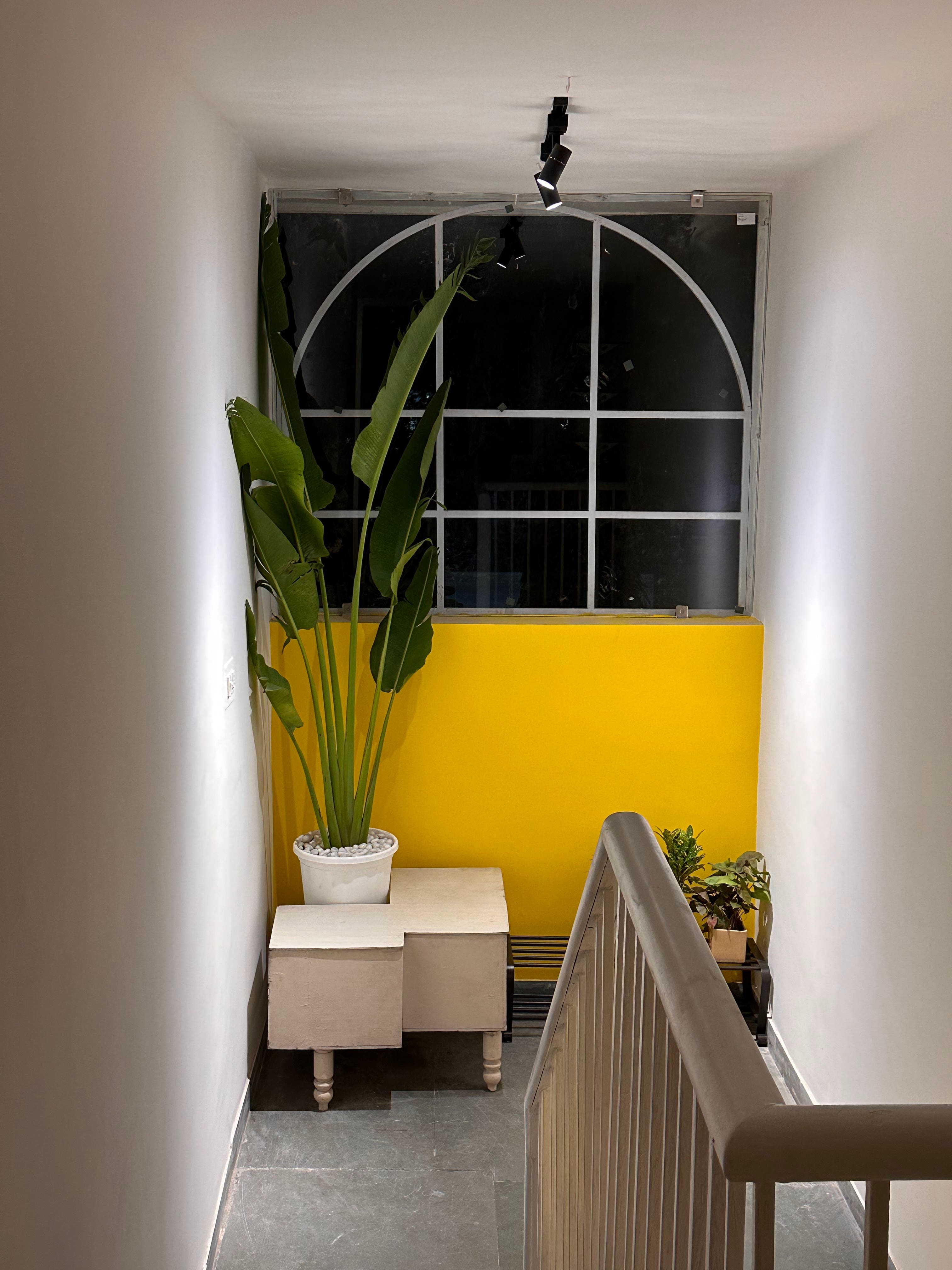 Crazy Plant Lady - A Plant Boutique Cafe, Nava Vadaj, Ahmedabad | Zomato