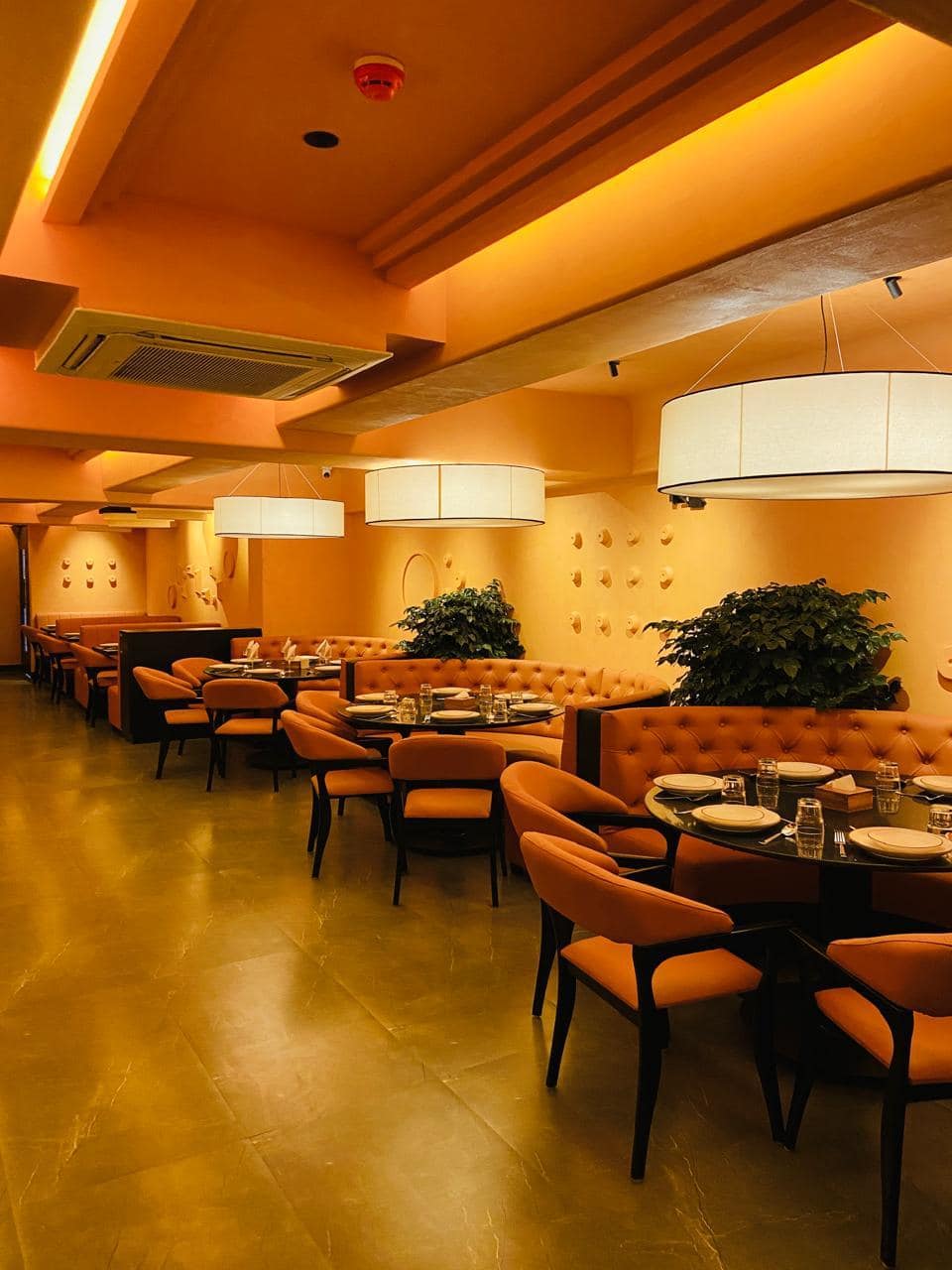 Book table and online reservation at Urban Harvest – Fine Food ...